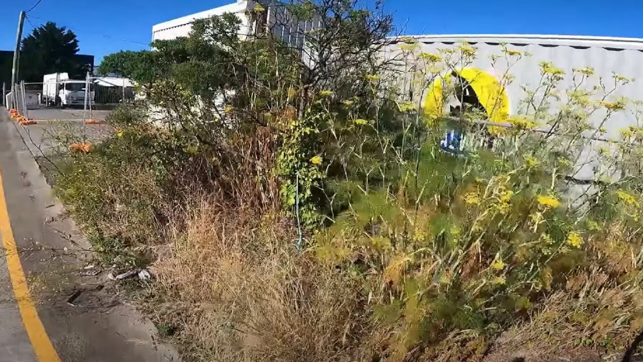 I can't believe this property was in such bad shape! 😱