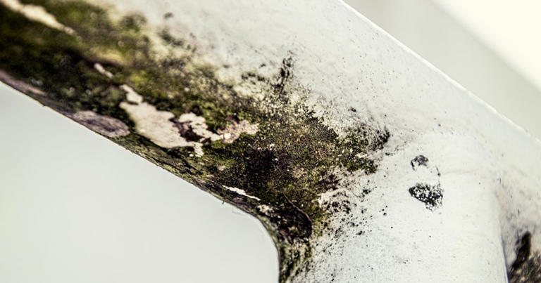 17 things around the house men should stop trying to fix themselves