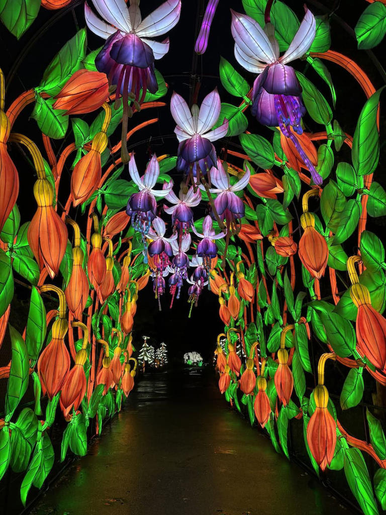 Wanderlight Trail at the Minnesota Zoo open now through August 2nd!