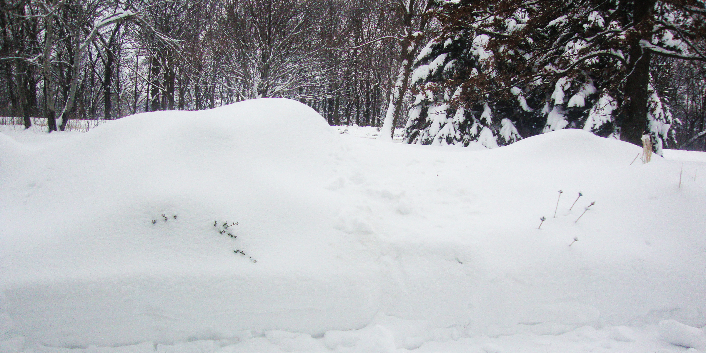 On my way to work, I found an elderly woman almost frozen in a ...