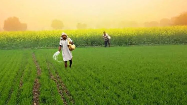 Agri Stack portal to ensure timely fertiliser supply and MSP payments ...