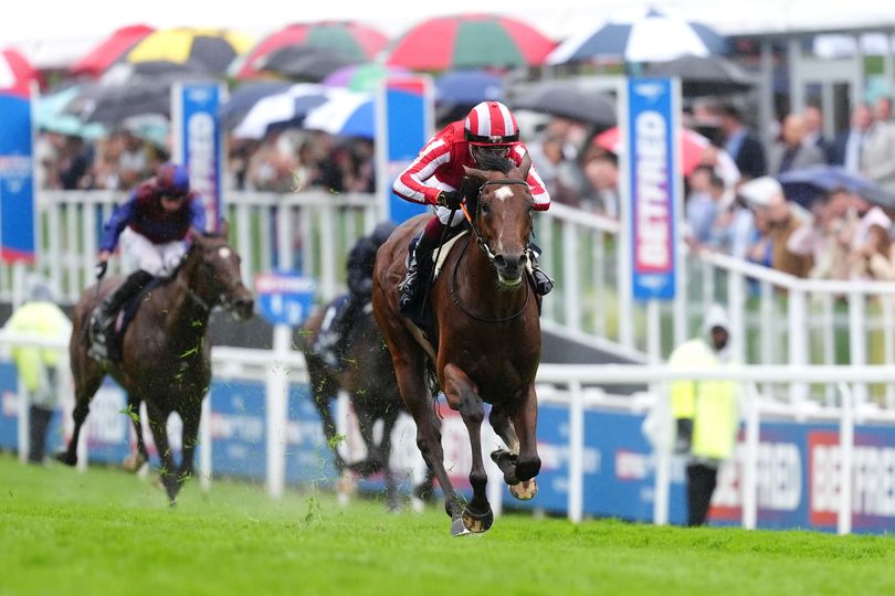 Bay City Roller eyes Arc bid after Coronation Cup success