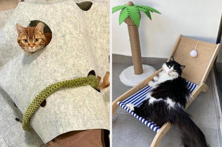 Just 32 fun products your cat called and told me they’d like you to buy ...