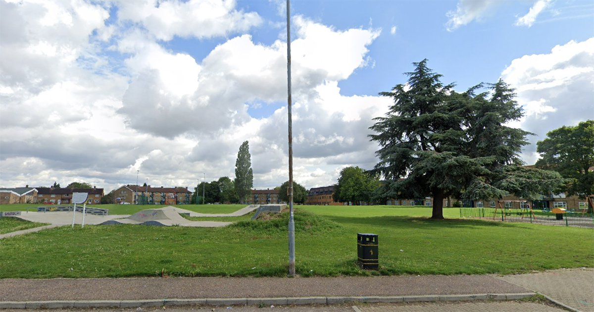 Teenagers flown to hospital after 'masked gang stabbing' in park