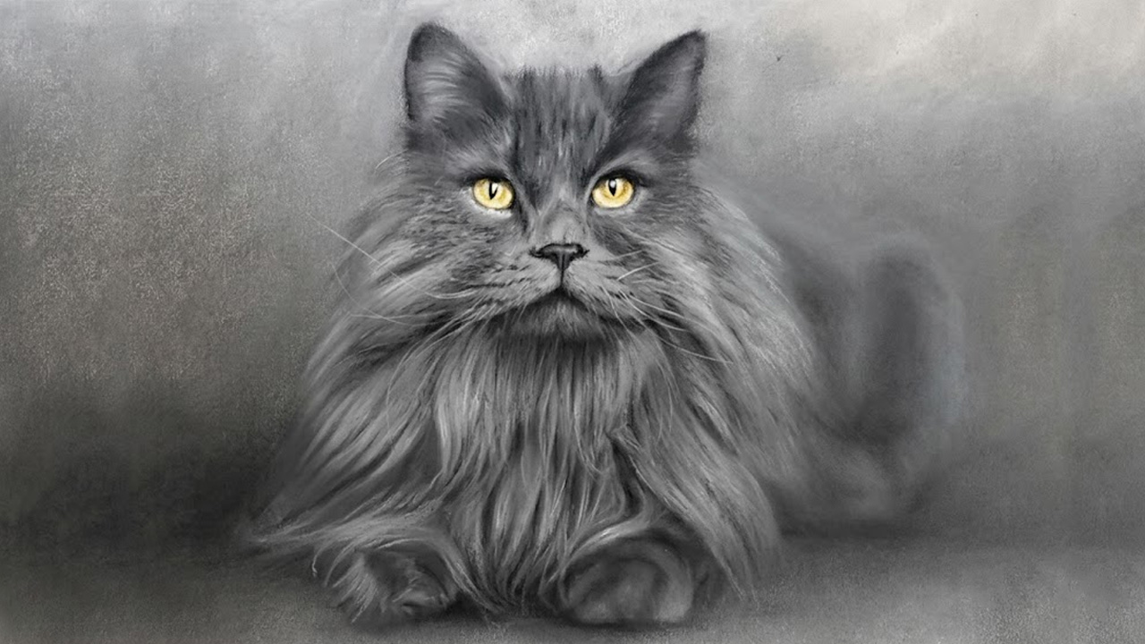 Create a lifelike cat artwork | Soft pastel shading & texture techniques