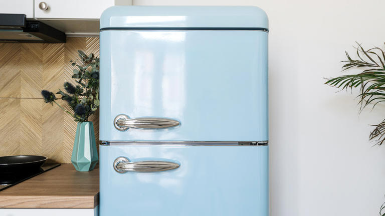 Refrigerators today look nothing like they used to