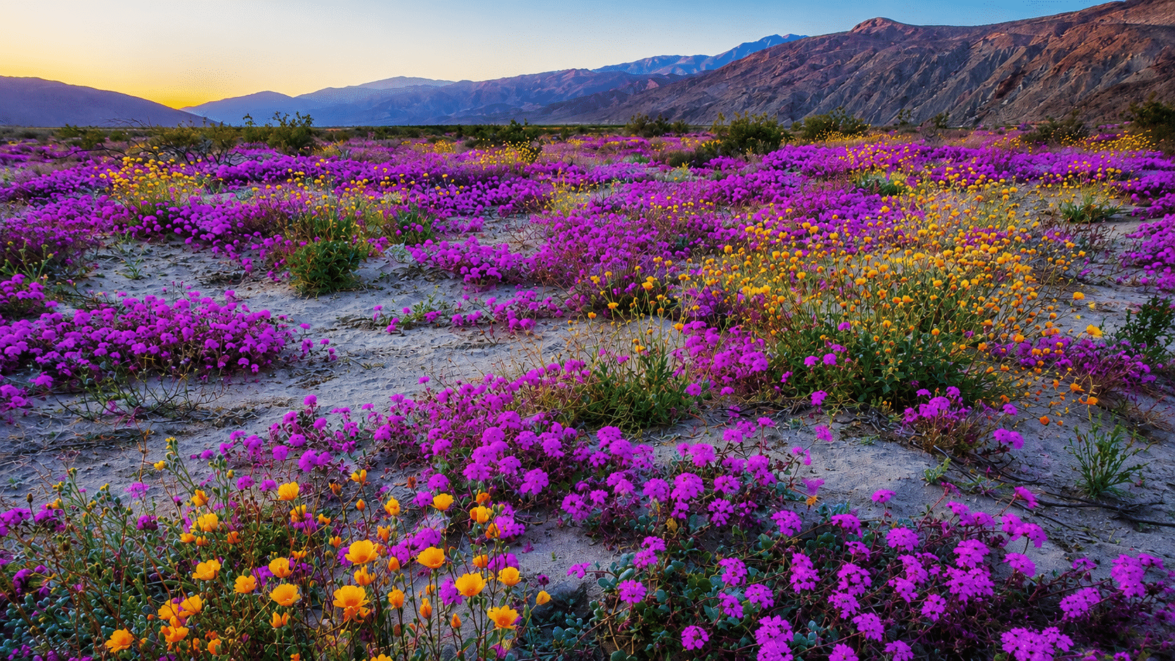 The world’s most extraordinary spring phenomena you rarely hear explained
