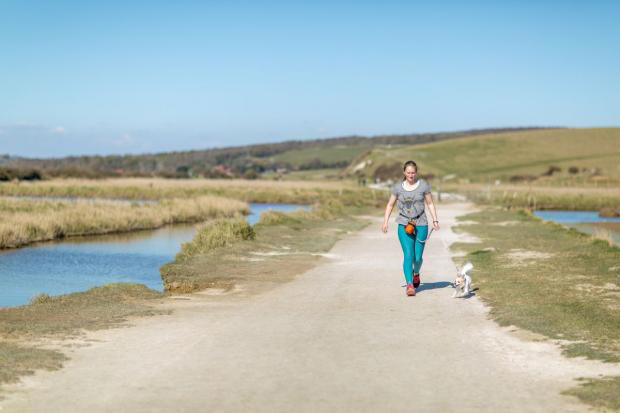Talking trout and butterfly in campaign encouraging responsible dog walking