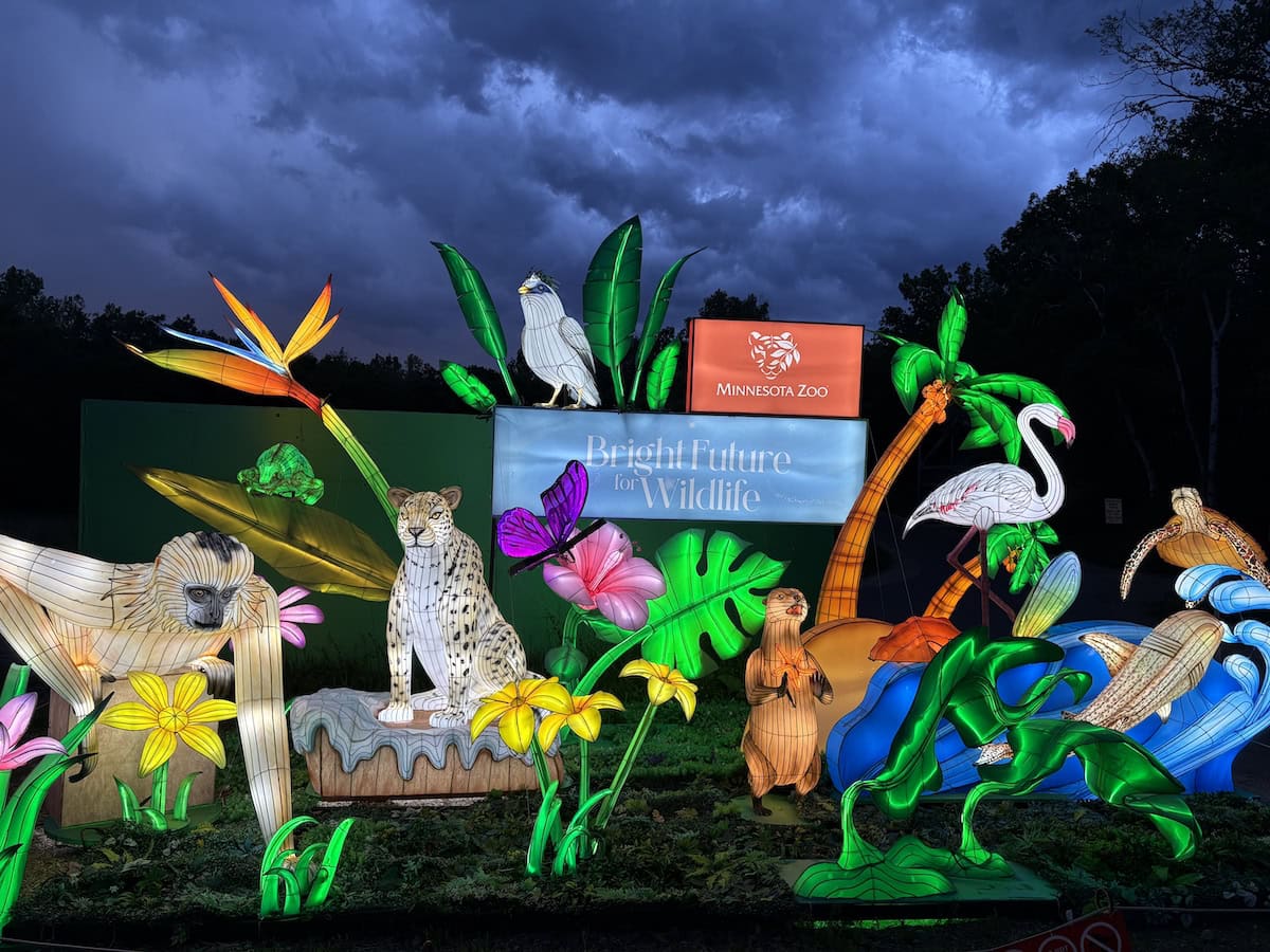 Wanderlight Trail at the Minnesota Zoo open now through August 2nd!