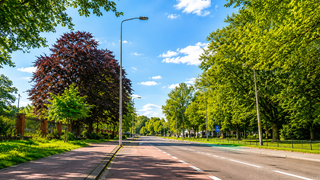 Paseo por La Haya con árboles verdes y calles anchas