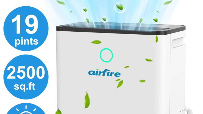 A dehumidifier is a summer investment that protects your home and health