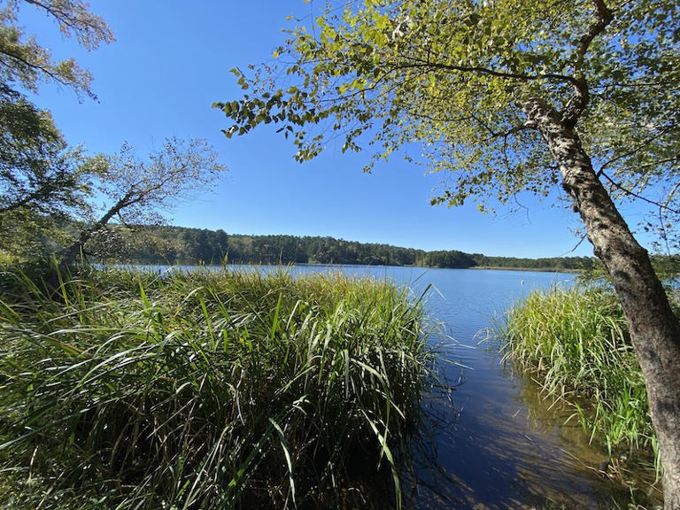Top 10 must-visit Texas state parks for families