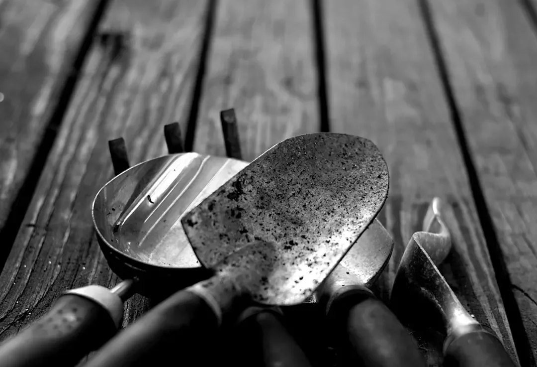 Dust them off: These 9 antique gardening tools are suddenly rising in ...