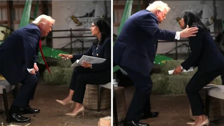 You're crooked or stupid: Trump exits interview midway after ranting at ...