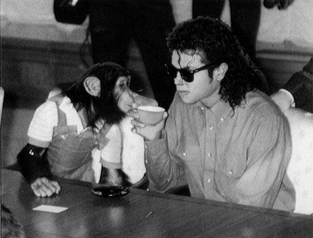 Where Michael Jackson’s monkey Bubbles is now years after singer's death