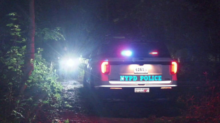 85-year-old killed by falling tree during storm in New York City park