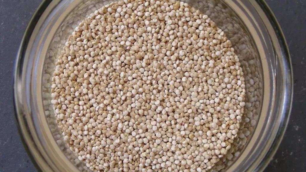 The heirloom lie: 7 "ancient" grains that were actually developed in ...