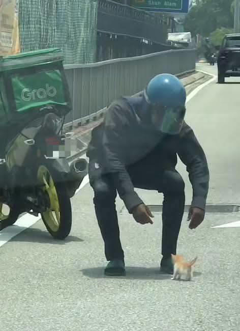 Motociclista si ferma nel traffico e salva un gattino arancione dall ...
