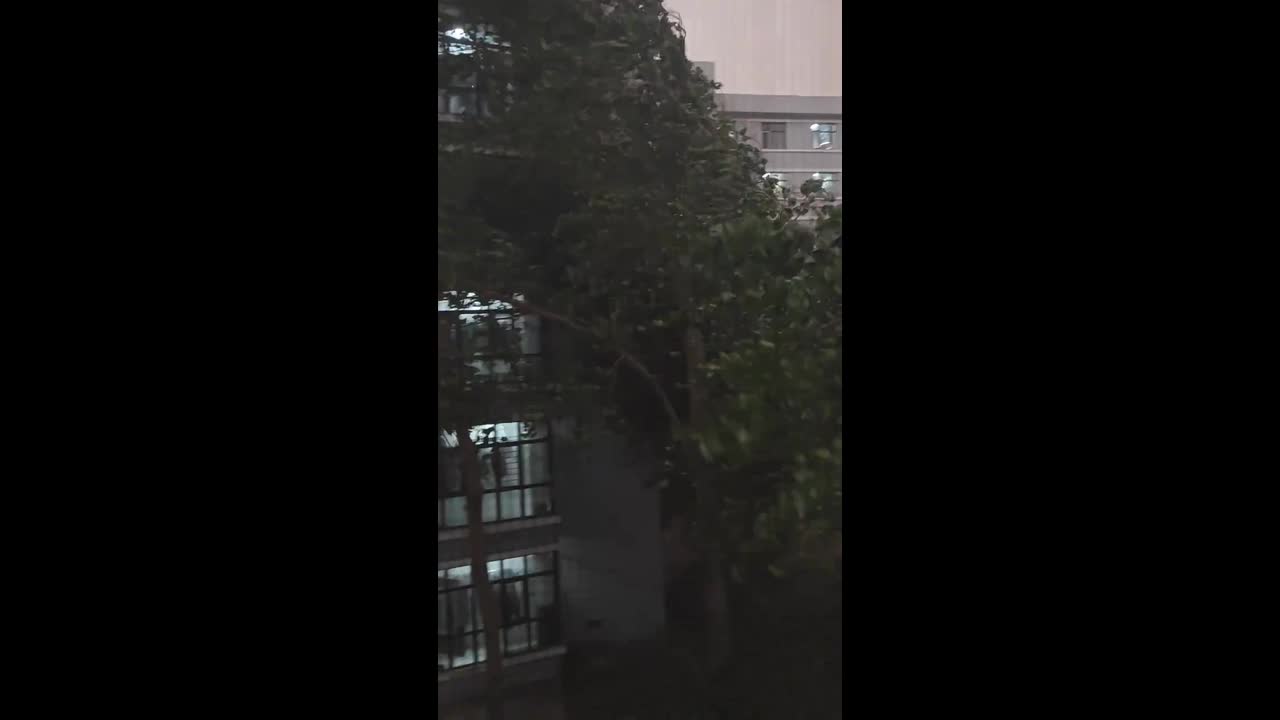 Powerful windstorm bends trees at residential area in Heilongjiang, China