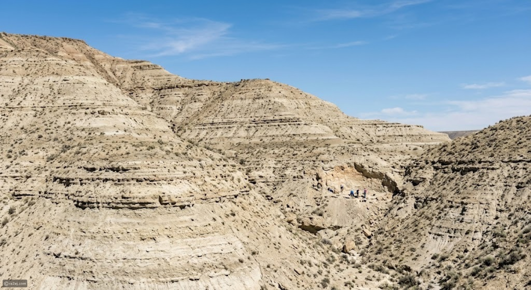 A student split open a rock — and found something buried for 52 million ...