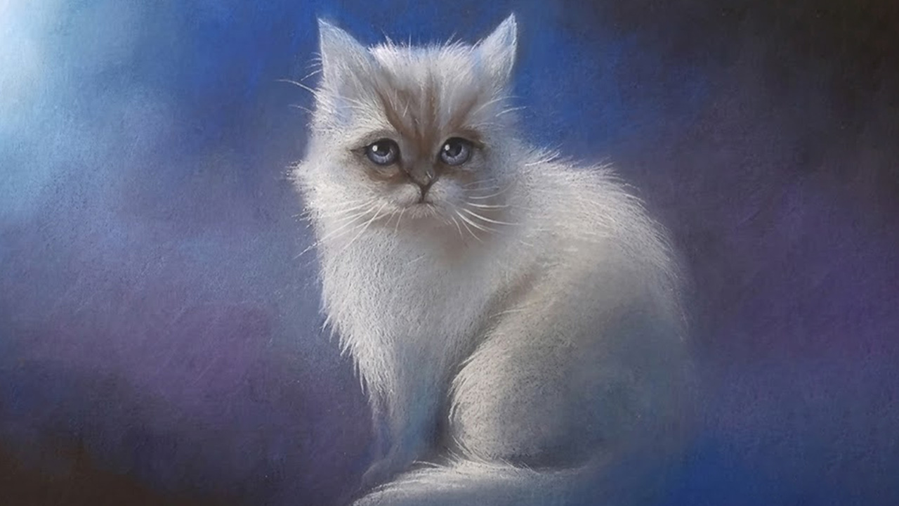 Cute cat art in soft pastels | White kitten black paper technique