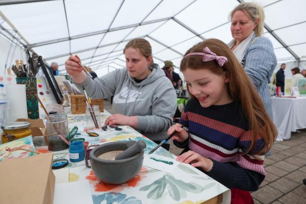 Darlington Eco Fair draws crowds with family fun, green living ideas ...