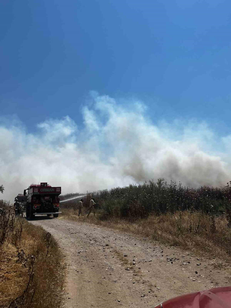 Balıkesir’de iki ayrı ilçede çıkan arazi yangınları kontrol altına alındı