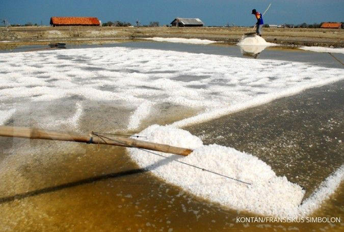 Sentra garam di Rote Ndao jadi tumpuan swasembada garam 2027, seberapa ...