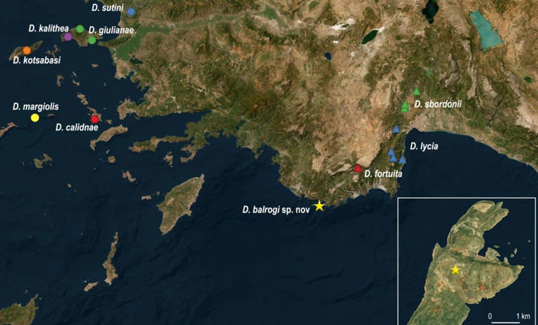 Scientists Discovered a Bizarre Insect Deep Inside a Greek Cave, and It ...