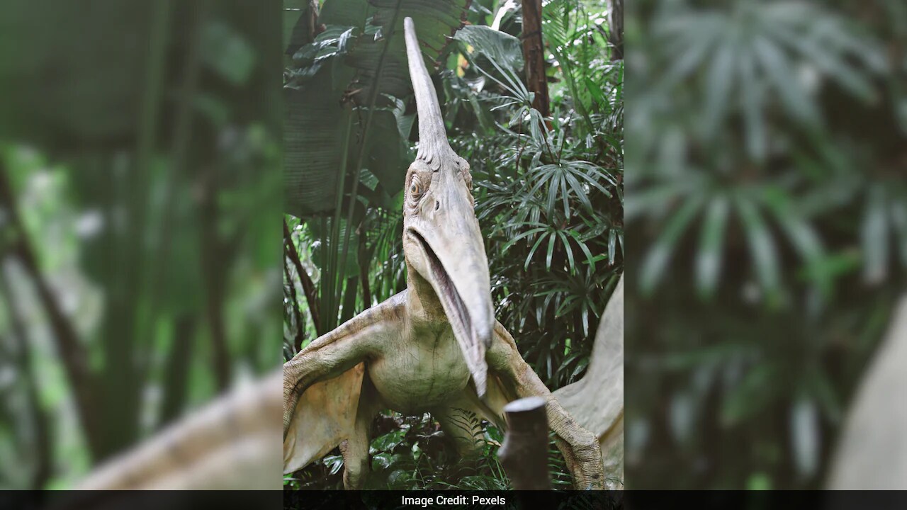 Scientists found fossil of 120-million-year-old birdlike dinosaur in China