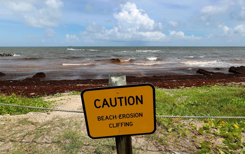 Flight attendant killed in Florida snorkeling boat strike