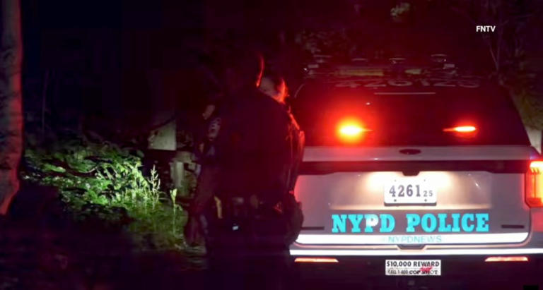 85-year-old man killed by falling tree in freak accident at NYC park: cops