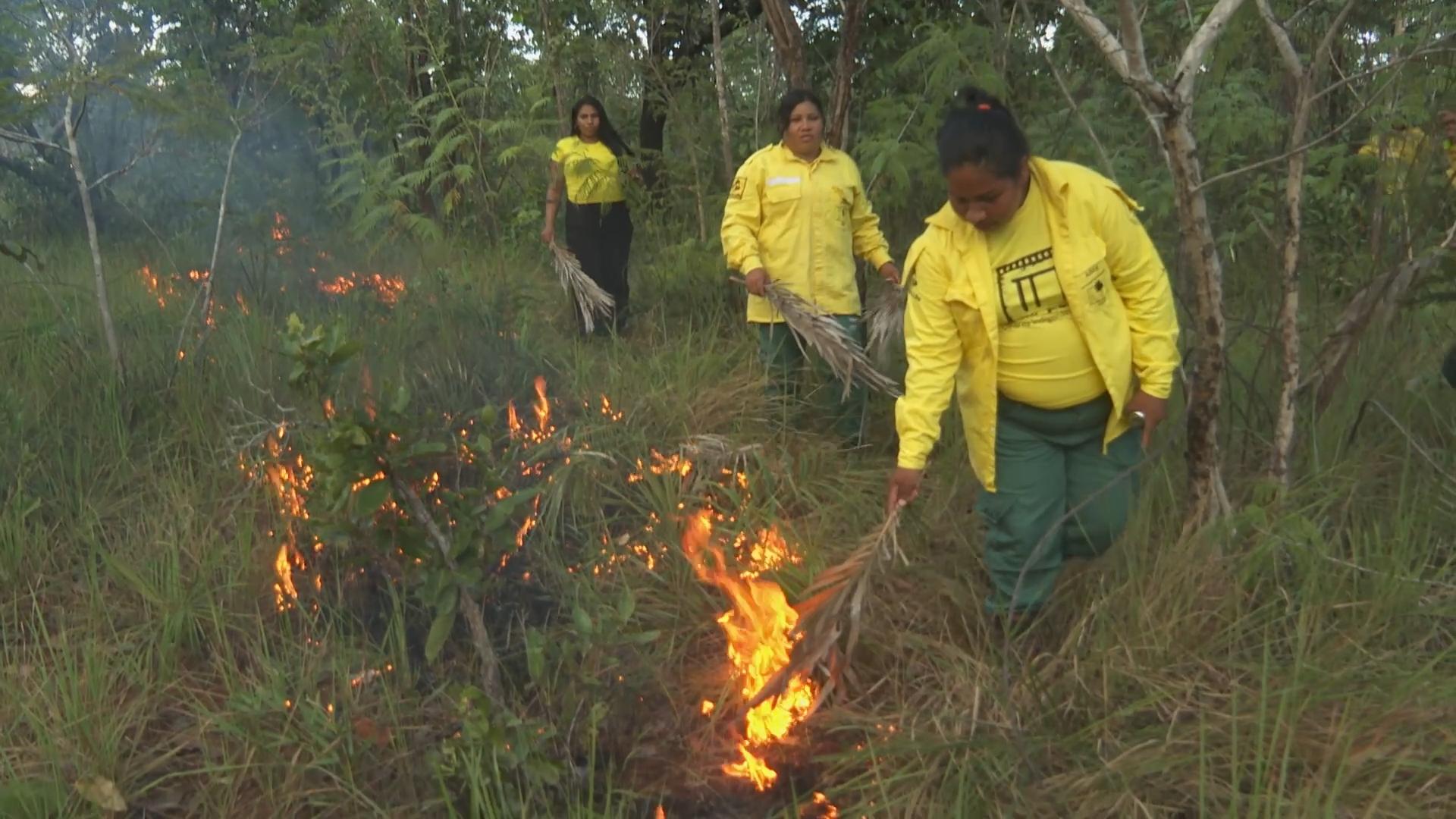In Brazil’s Cerrado region, Indigenous fire practices reshape wildfire ...