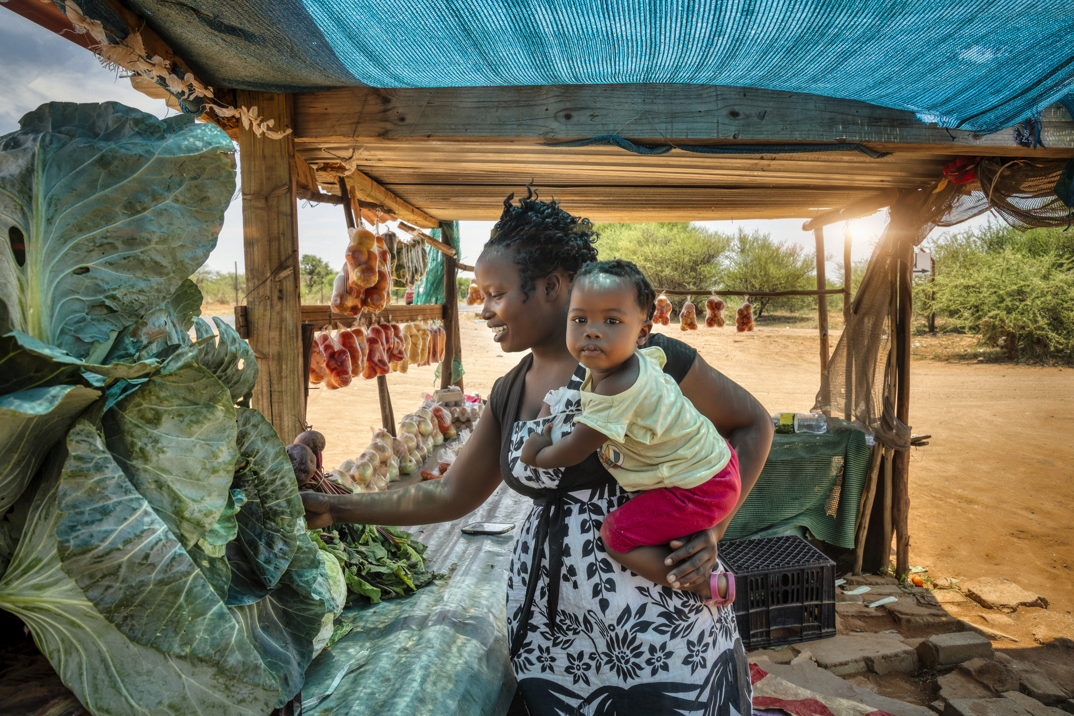 These villages protected their forests. Now they’re seeing the ...