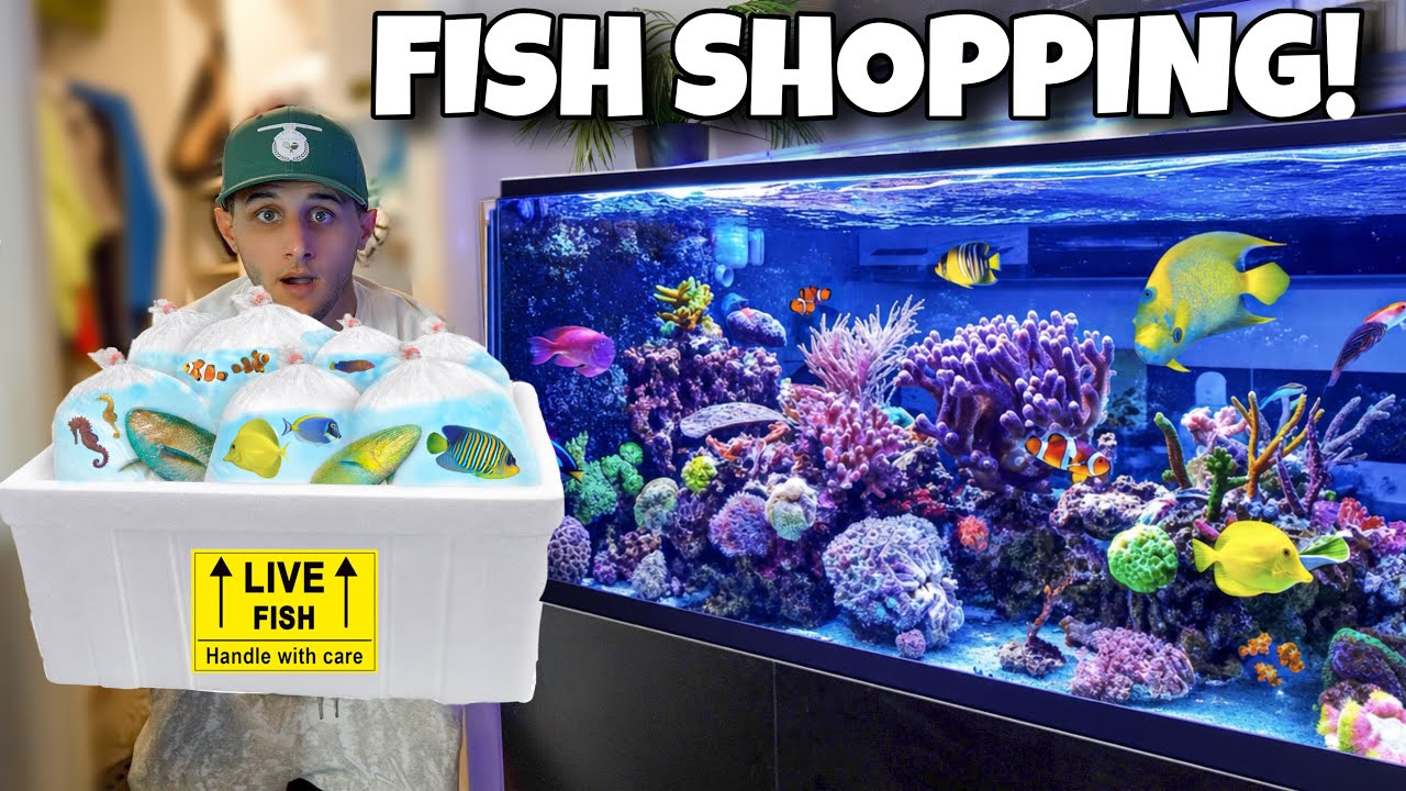 Fish shopping spree for my saltwater reef tank!