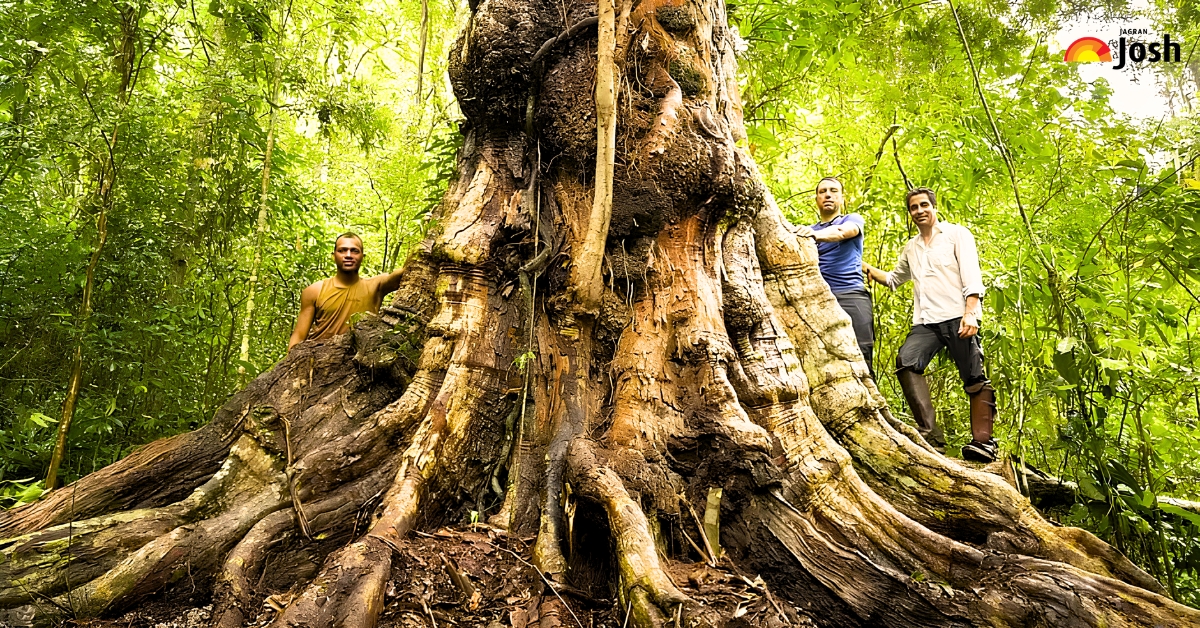 Which is the only country named after a tree?