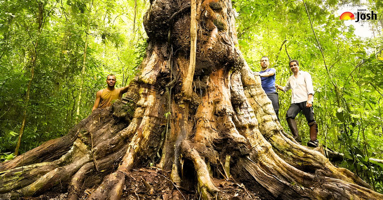 Which is the only country named after a tree?