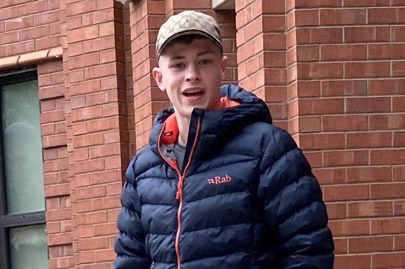 Teen was arrested and handcuffed in police car before 'impulsive' offence