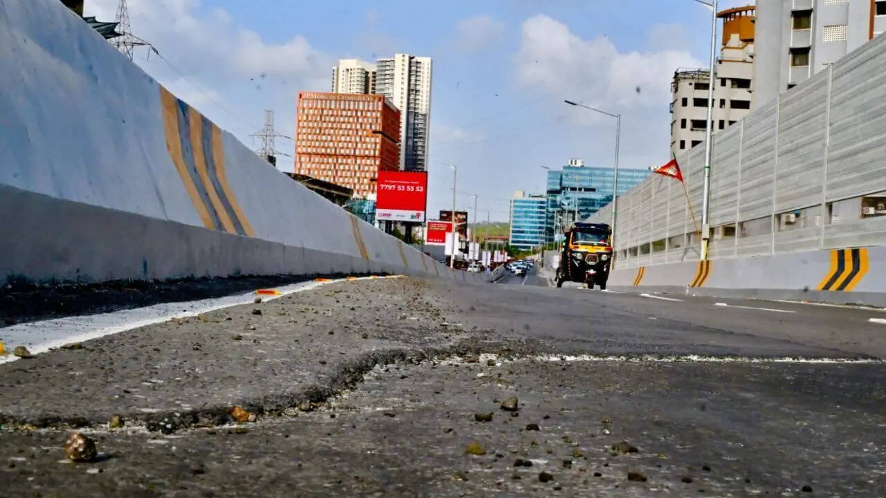 Mumbai’s Rs 248 crore Mrinal Tai Gore flyover faces backlash hours ...