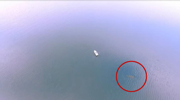 Filmmakers claim they’ve caught America’s Loch Ness Monster on video ...