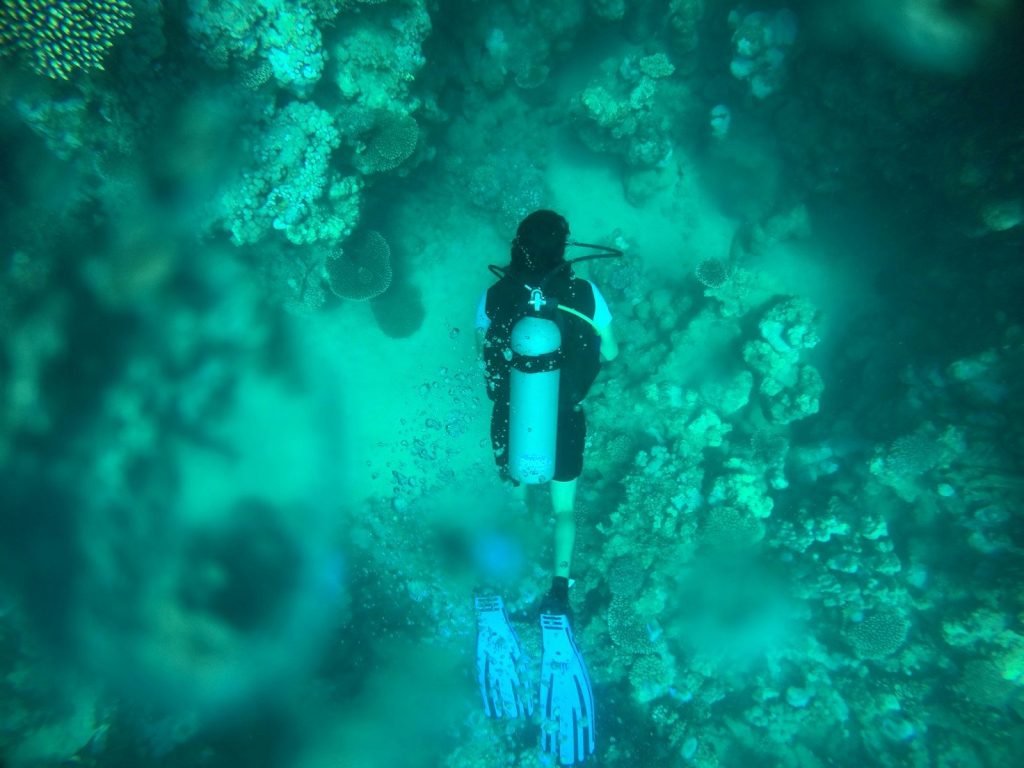 A submersible found a dark mirror on the seafloor – then saw the bodies