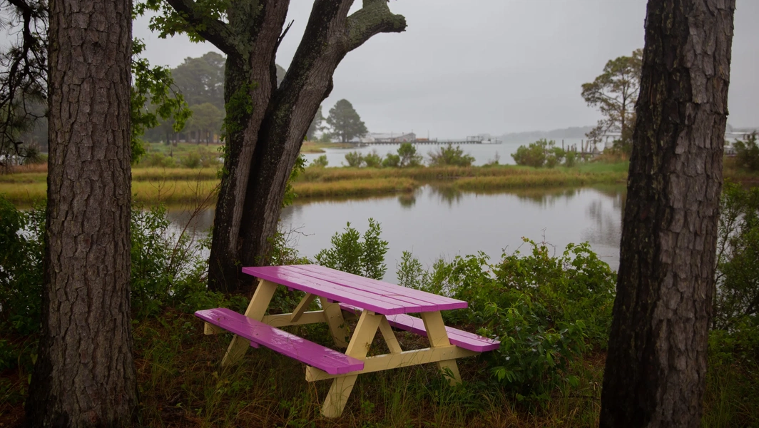 Virginia Beach’s hidden shores draw growing traveler interest