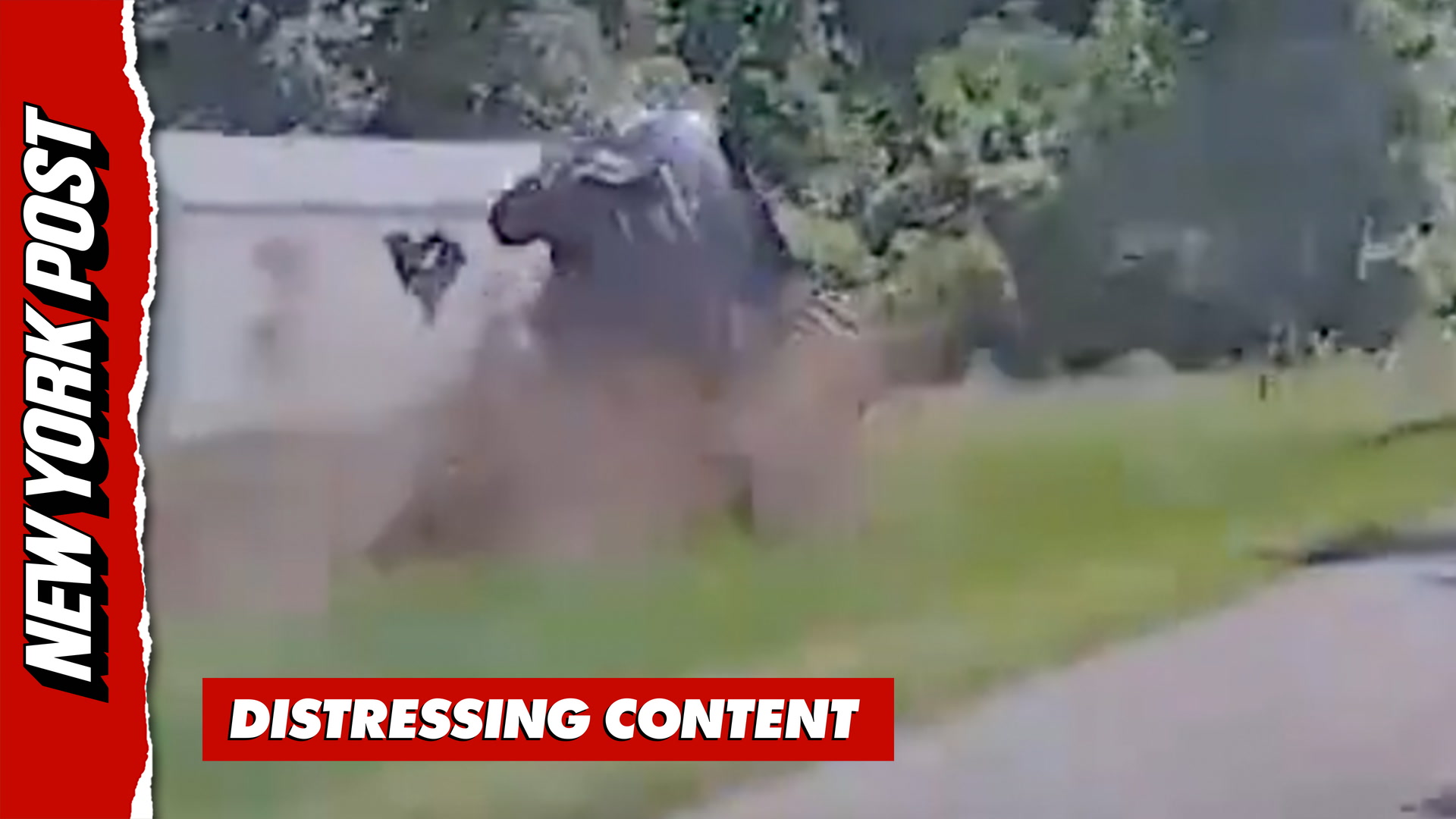 Horrifying moment car flips during high-speed chase sending infant flying