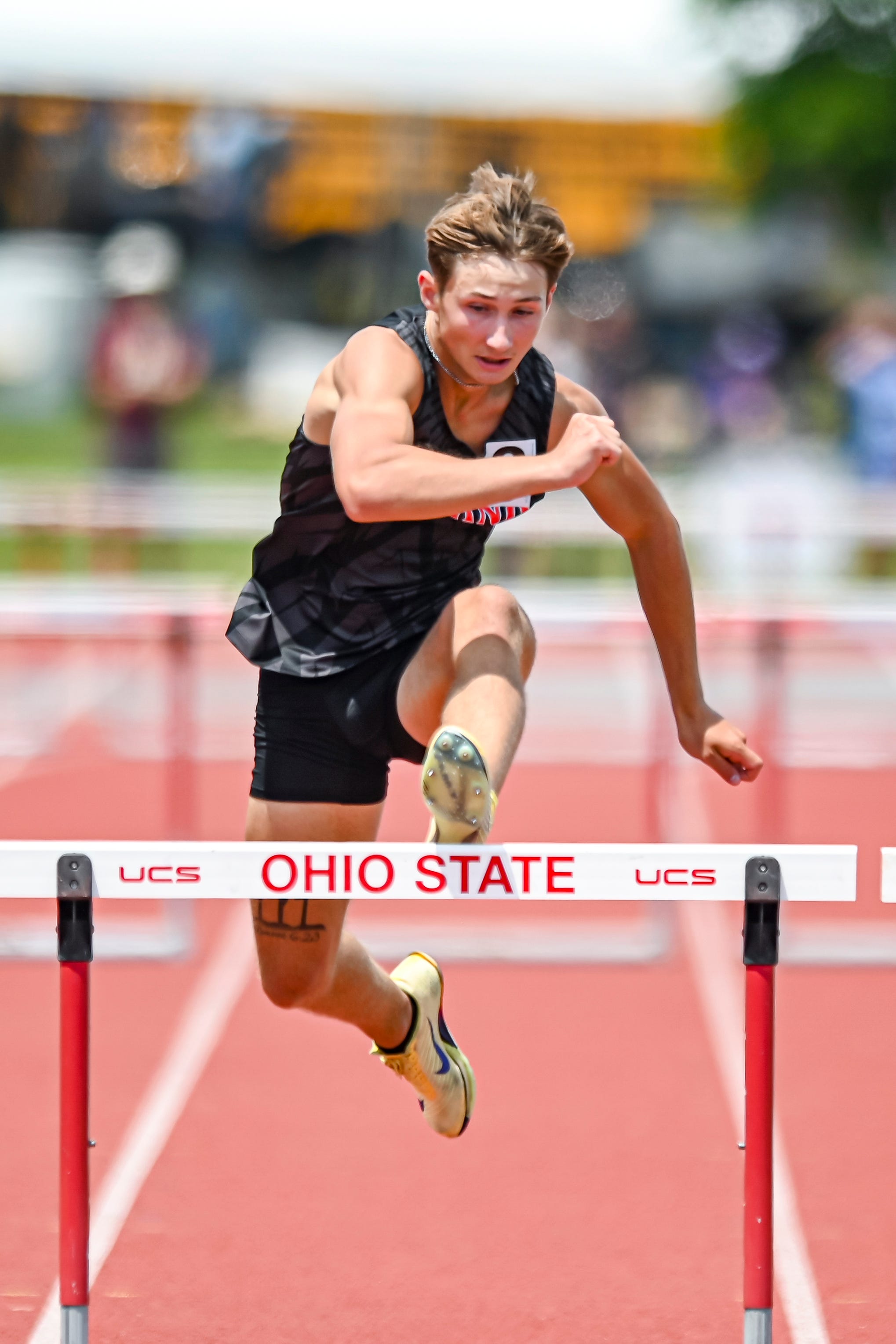 Walter's two-event All-Ohio finish highlights day for Ashland Arrows