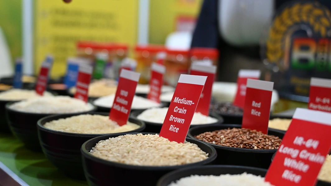 Master the art of perfect rice cooking