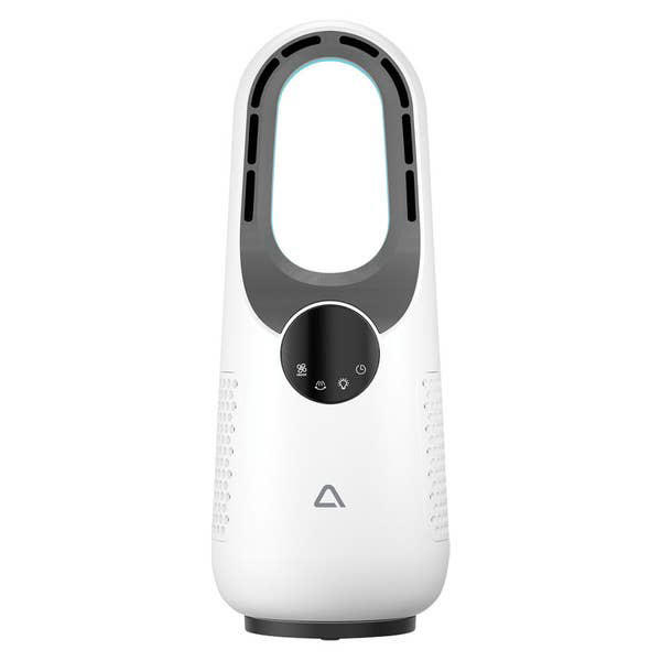 Aldi's $25 bladeless fan keeps dogs cool this summer - available June 10
