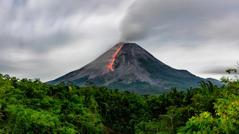 Not Earth, not Venus: This planet has the biggest volcano in the solar ...