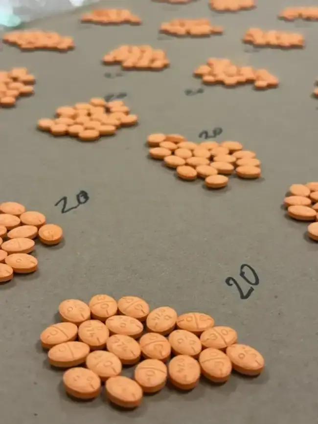 'Your room is ready': 500-plus pills and cocaine later, Florida dealer ...