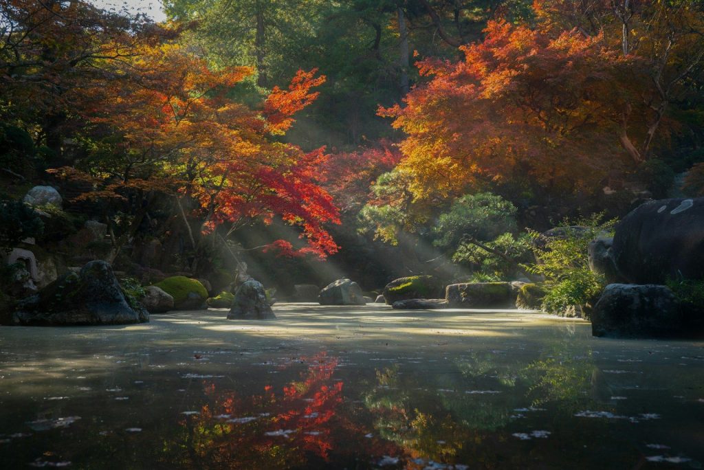 9 simple Japanese garden tricks that make any space feel serene