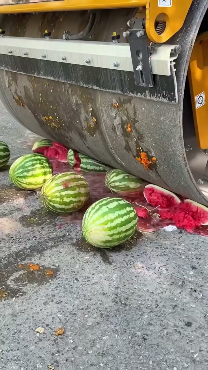 Road roller crashing watermelons #asmr #satisfying #asmrsounds # ...